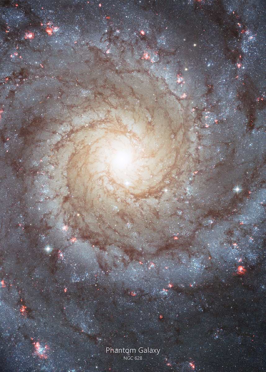 'Phantom Galaxy' Poster, picture, metal print, paint by Galaxy Images ...