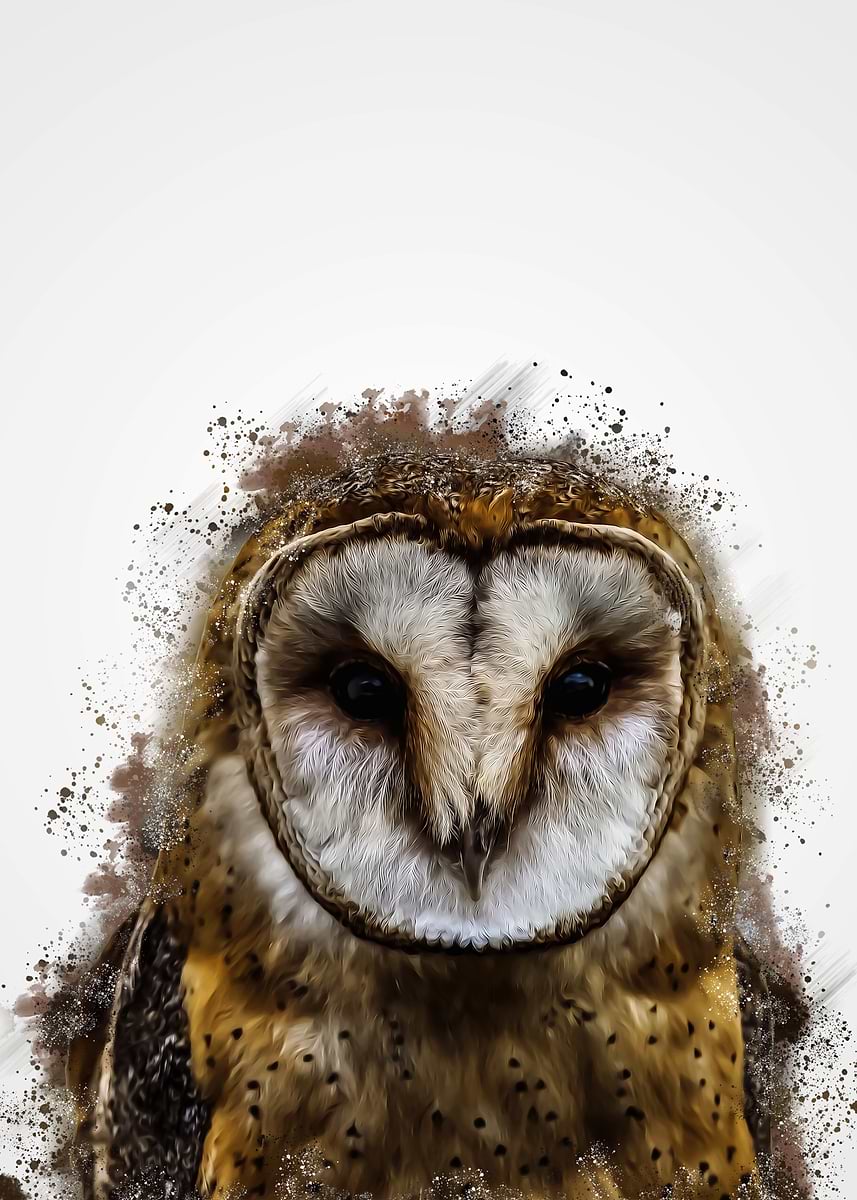 'Burrowing Owl portrait' Poster, picture, metal print, paint by The ...