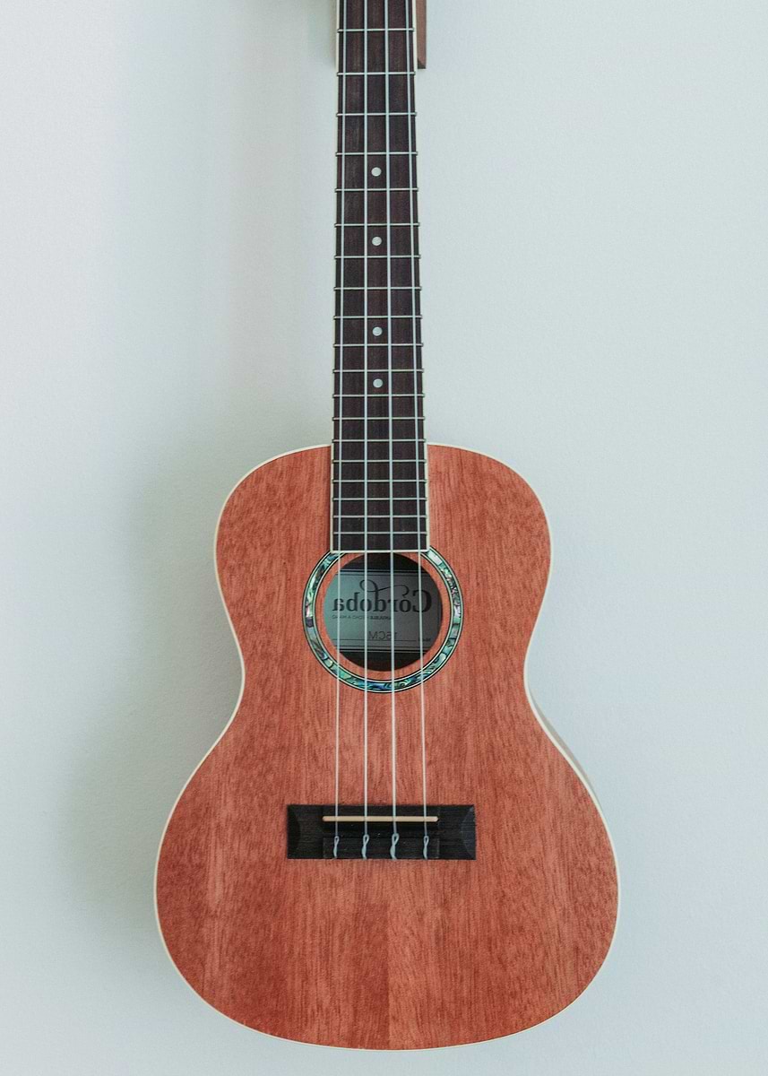 'Guitar poster' Poster, picture, metal print, paint by Rijis Art | Displate