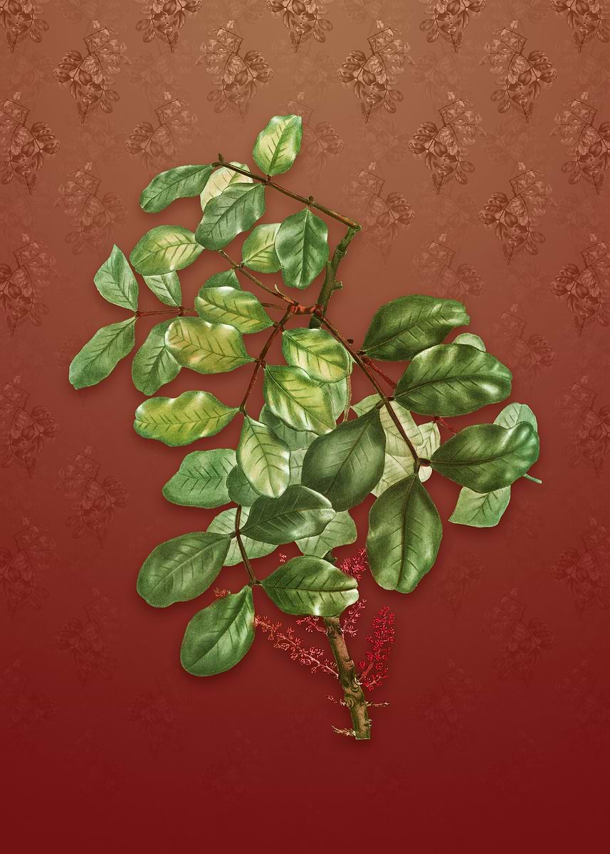 'Carob Tree on Falu Red' Poster, picture, metal print, paint by Holy ...