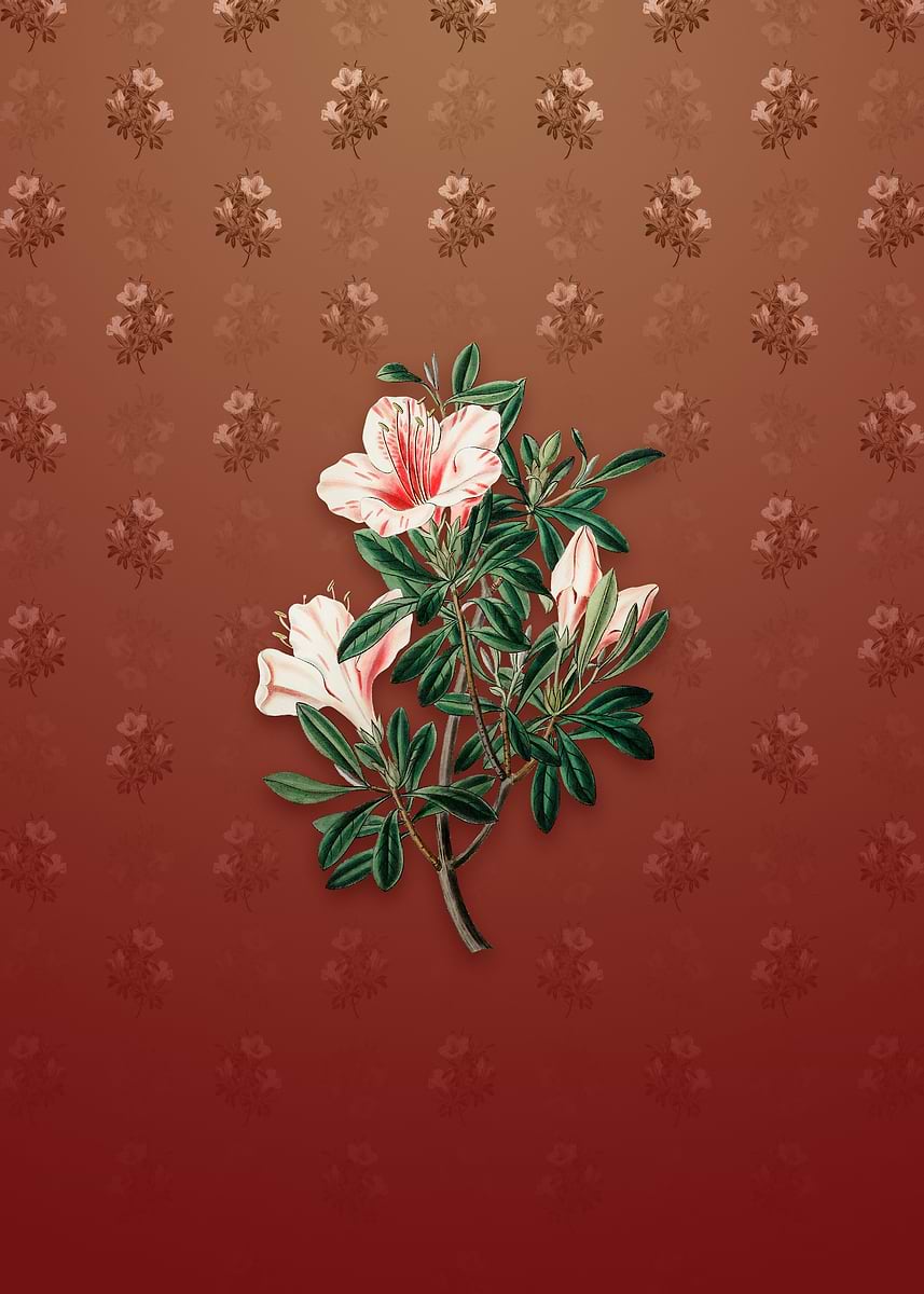 'Variegated Chinese Azalea' Poster, picture, metal print, paint by Holy ...