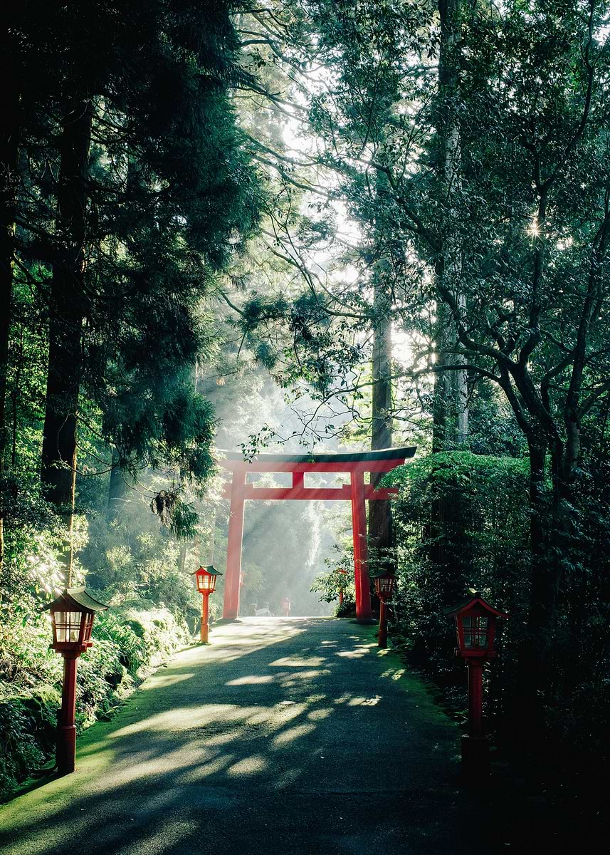 'JAPANESE TORII' Poster, picture, metal print, paint by The White Shirt ...
