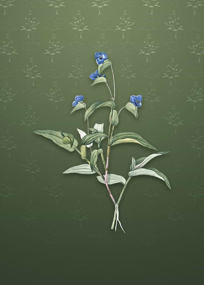 'Vintage Blue Spiderwort' Poster, picture, metal print, paint by Holy ...