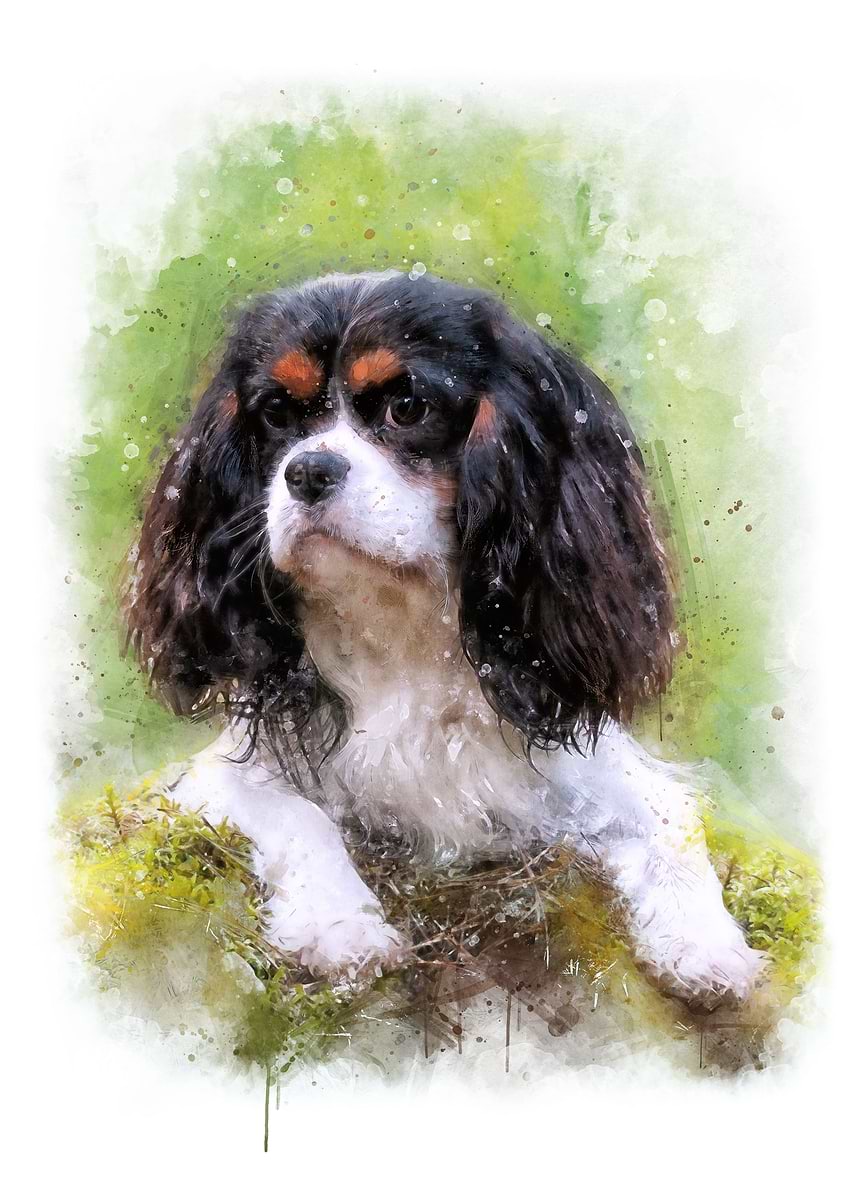 'Cavalier puppy watercolor' Poster, picture, metal print, paint by ...