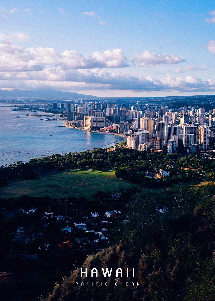 'Hawaii ' Poster, picture, metal print, paint by Travel Addict | Displate
