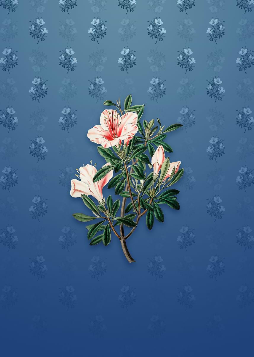 'Variegated Chinese Azalea' Poster, picture, metal print, paint by Holy ...