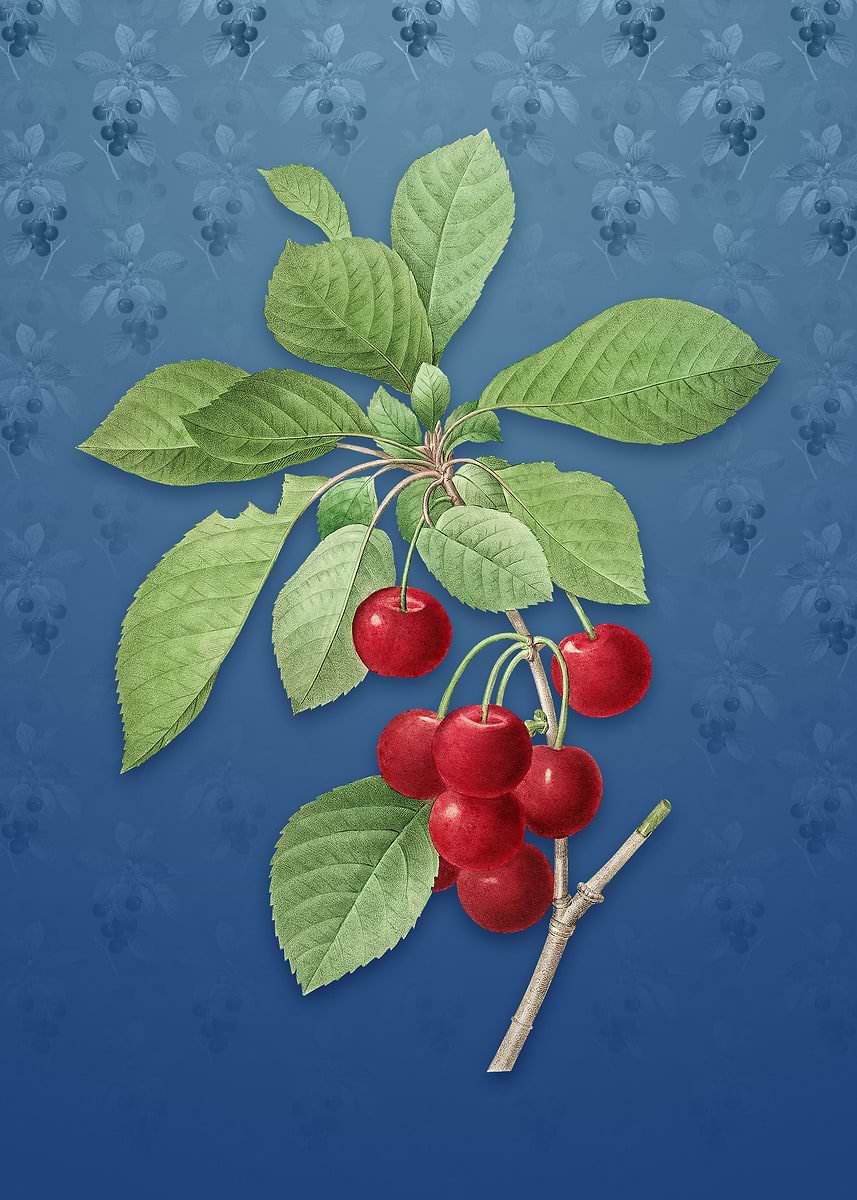 'Cherry on Bahama Blue' Poster, picture, metal print, paint by Holy ...