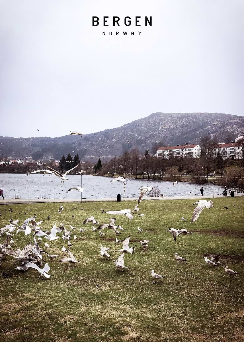 'Bergen ' Poster, picture, metal print, paint by Explore Universe ...