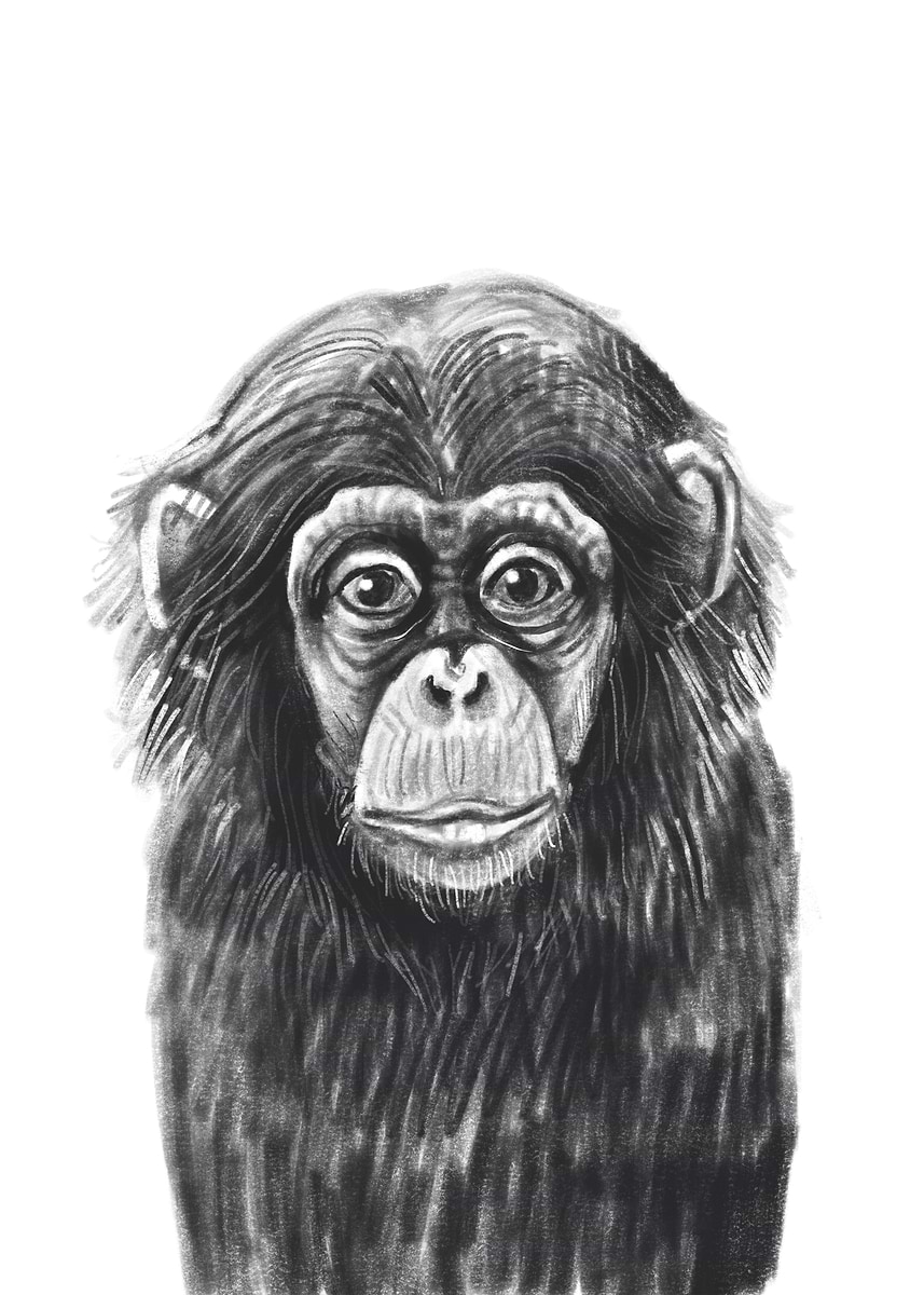 'Chimpazee' Poster, picture, metal print, paint by Dodobat | Displate