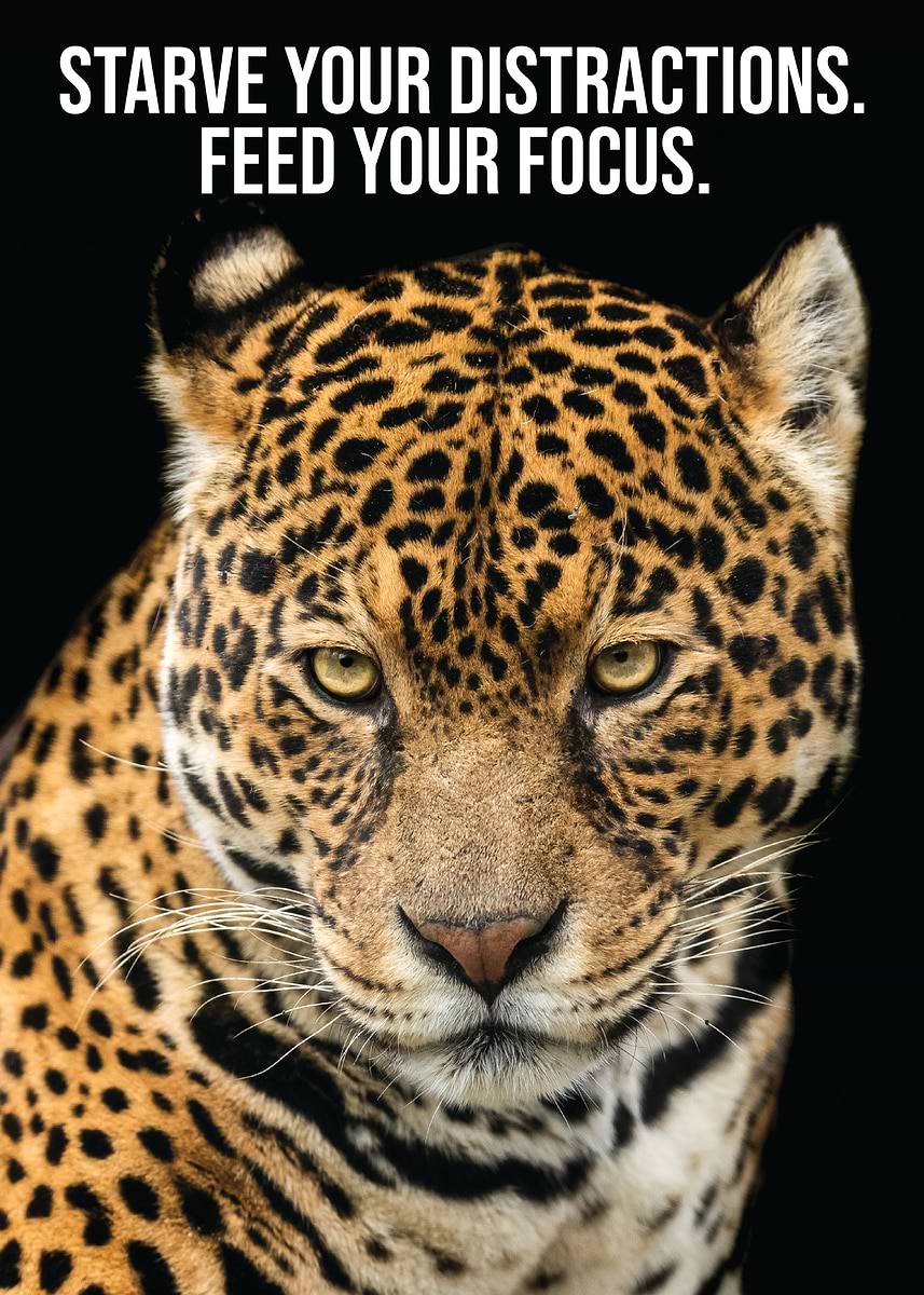 'Starve Your Distractions' Poster, picture, metal print, paint by ...