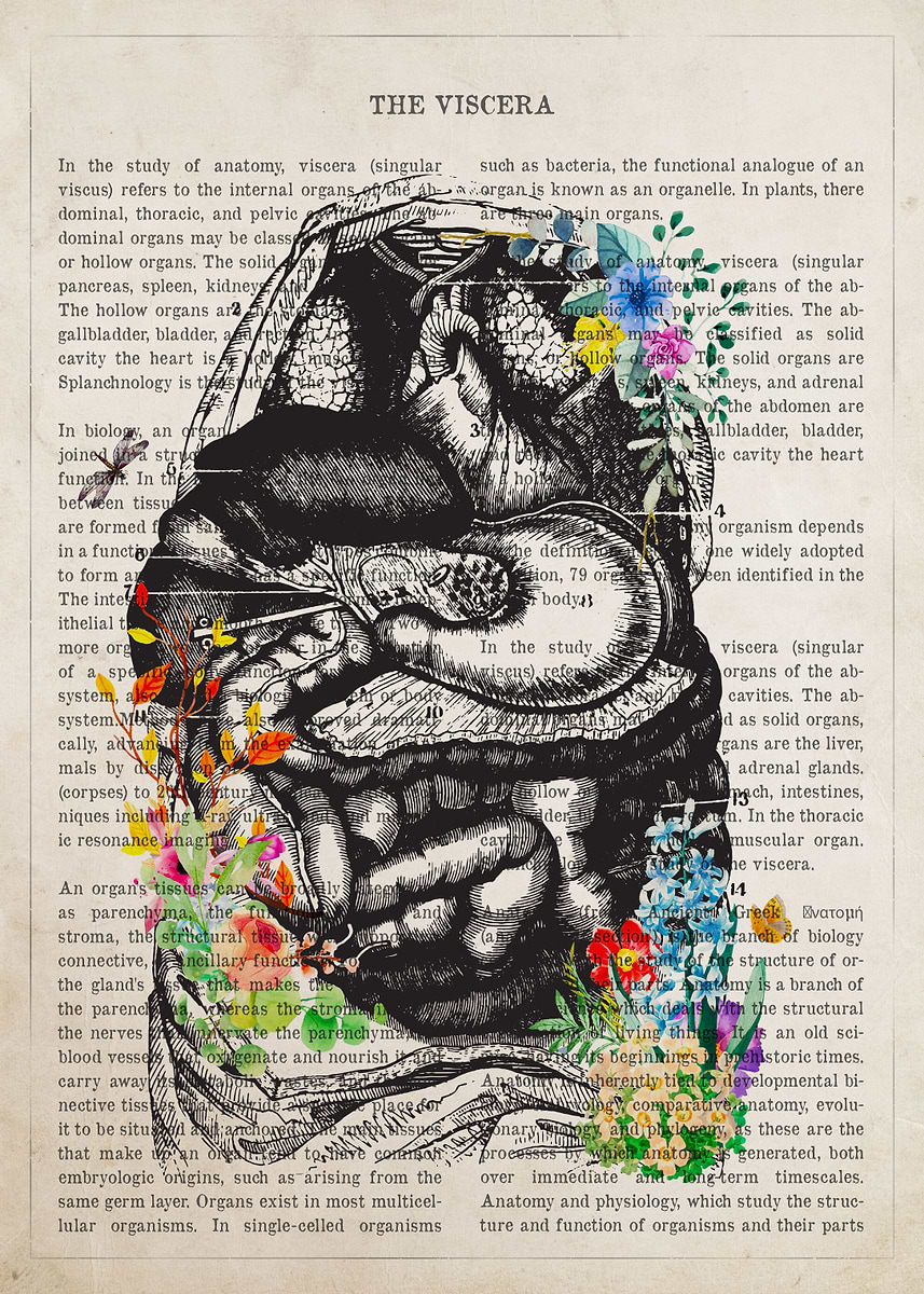 'Viscera Anatomy ' Poster, picture, metal print, paint by Aged Pixel ...