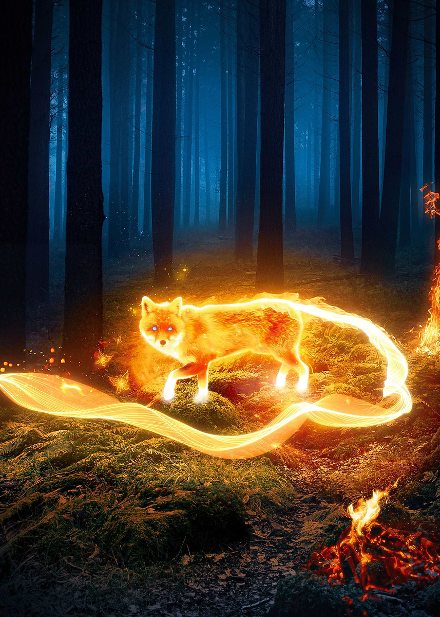 'Fire fox' Poster, picture, metal print, paint by Ergen Art | Displate