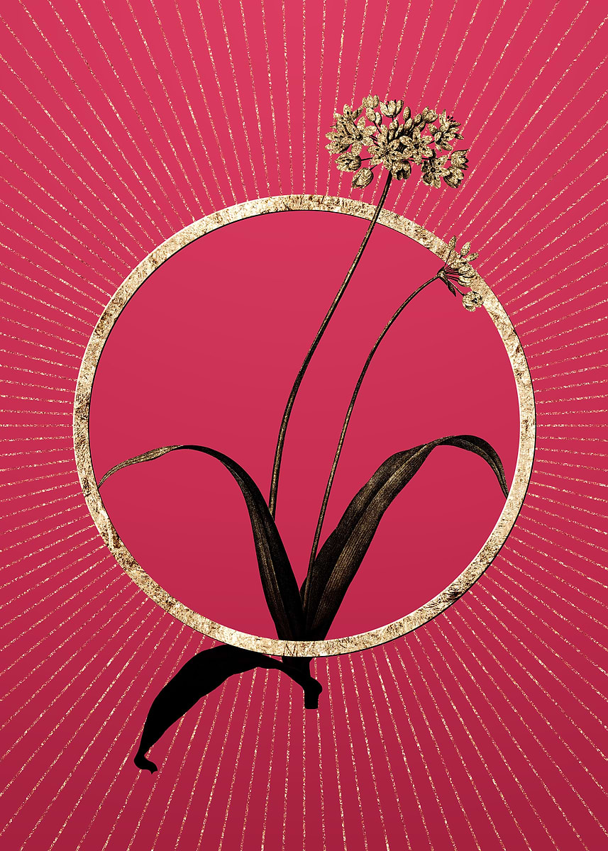 'Viva Magenta Spring Garlic' Poster, picture, metal print, paint by ...