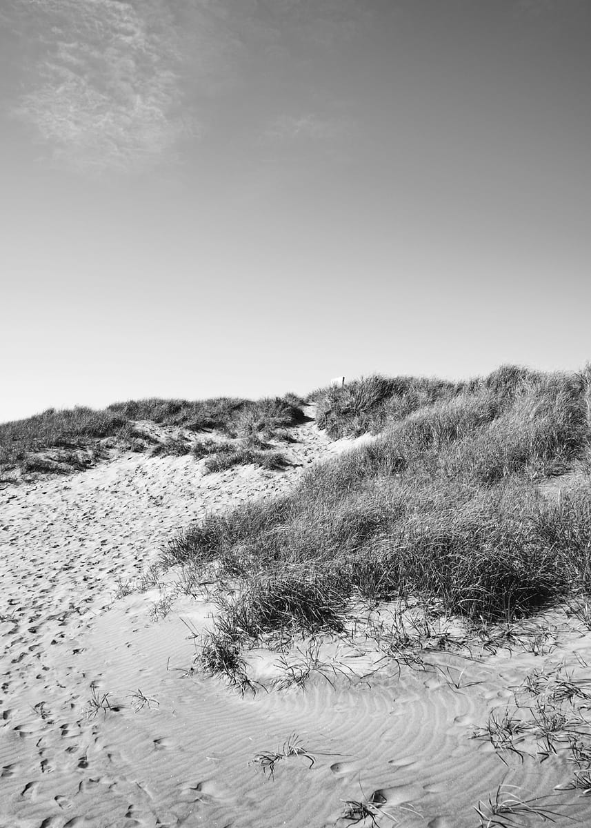 'Oregon Coast Beach PNW' Poster, picture, metal print, paint by anthony ...