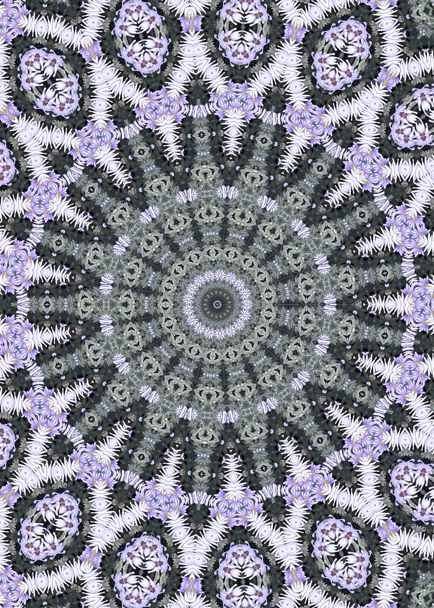 'Lilac kaleidoscope mandala' Poster, picture, metal print, paint by Edy ...
