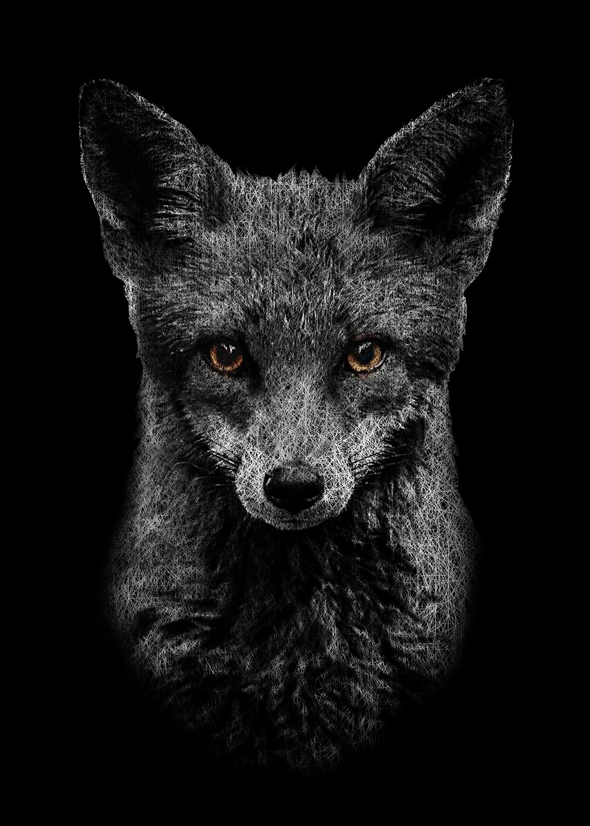 'Unleash Your Inner Fox' Poster, picture, metal print, paint by Shamoon ...