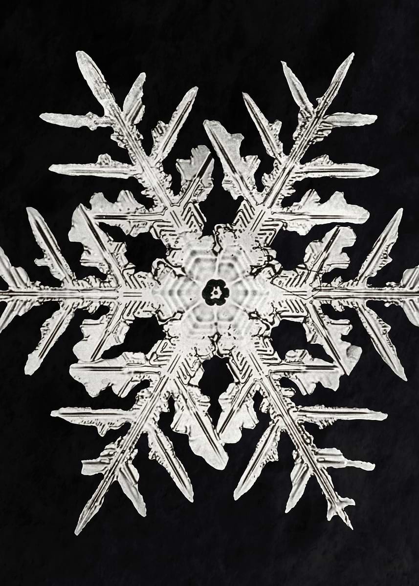 'Snowflake 1201' Poster, picture, metal print, paint by KrispyArt ...