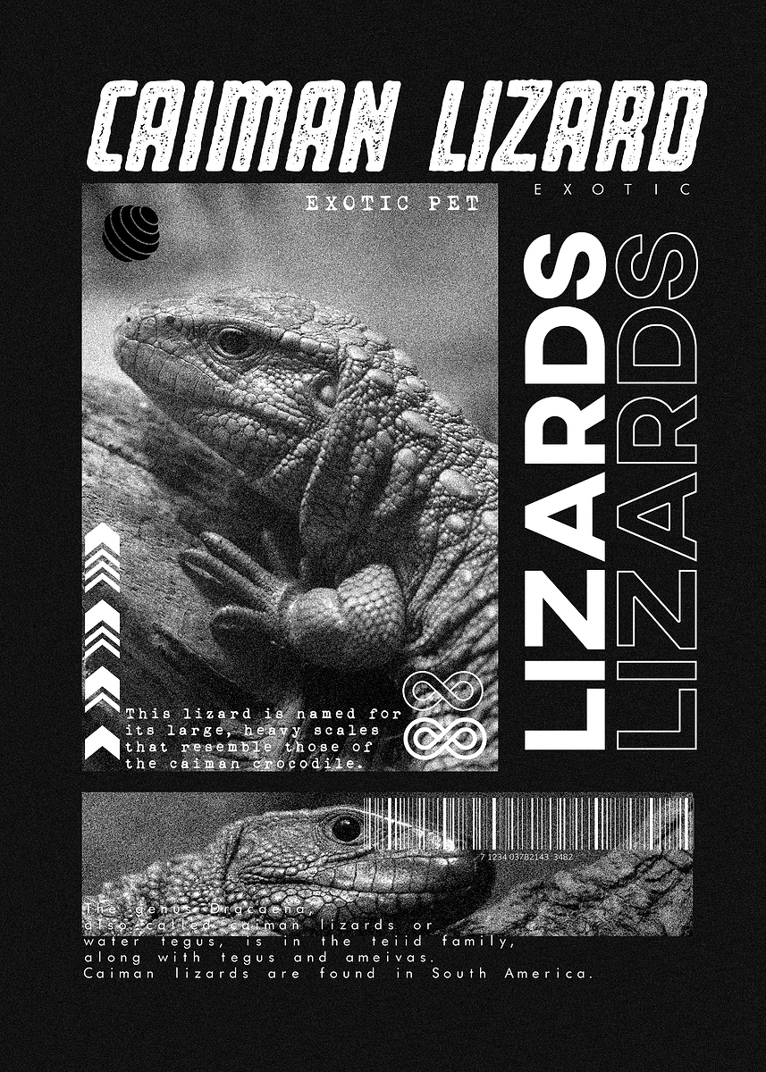 'Caiman Lizard Modern' Poster, picture, metal print, paint by Jon ...