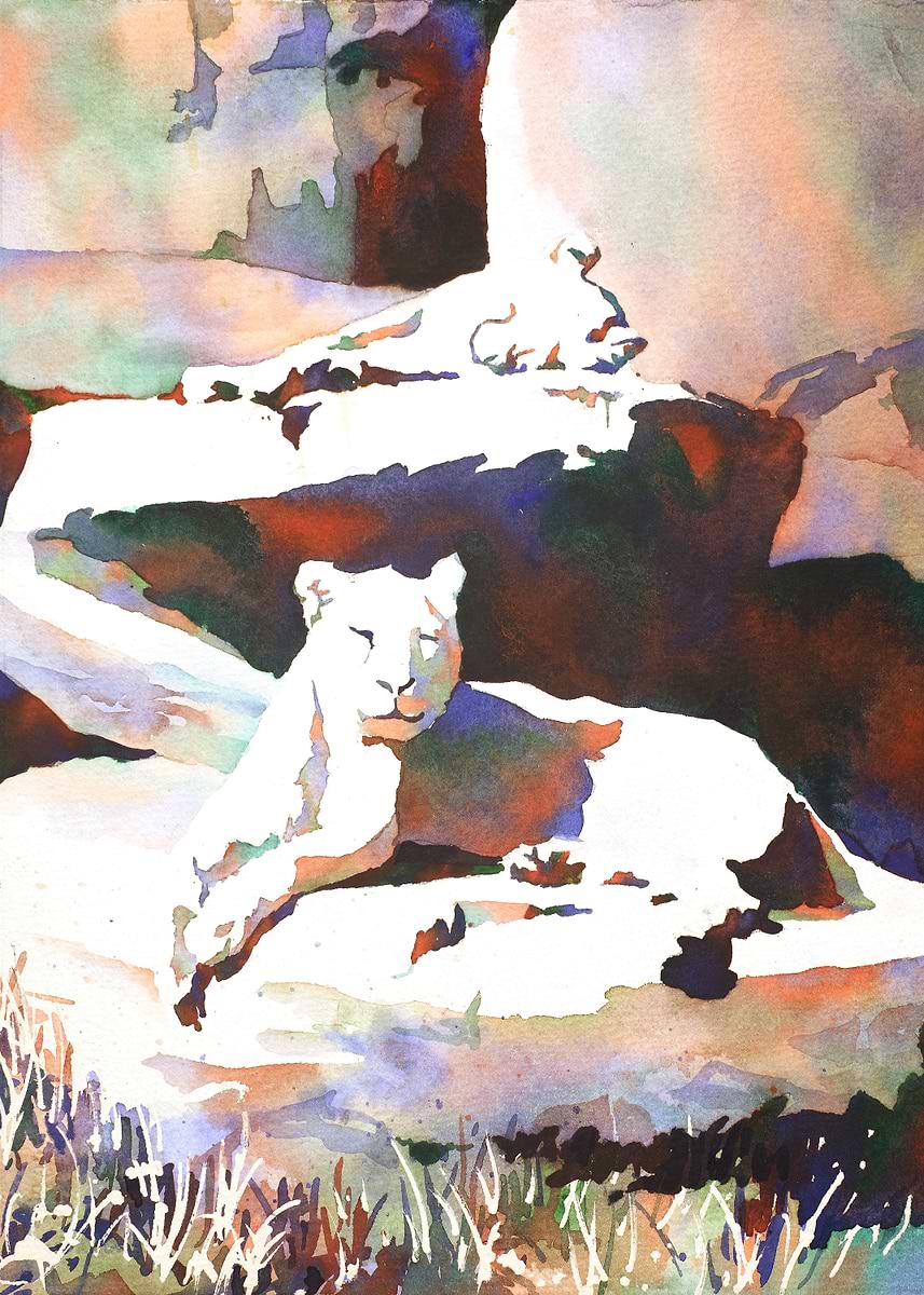 'Lioness artwork animal art' Poster, picture, metal print, paint by ...