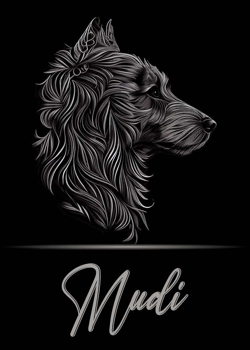 'Mudi' Poster, picture, metal print, paint by Artistic Paradigms | Displate