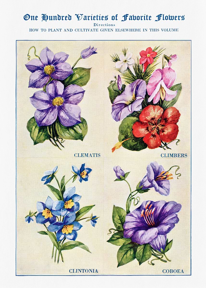 '100 Varieties of Flowers' Poster, picture, metal print, paint by ...