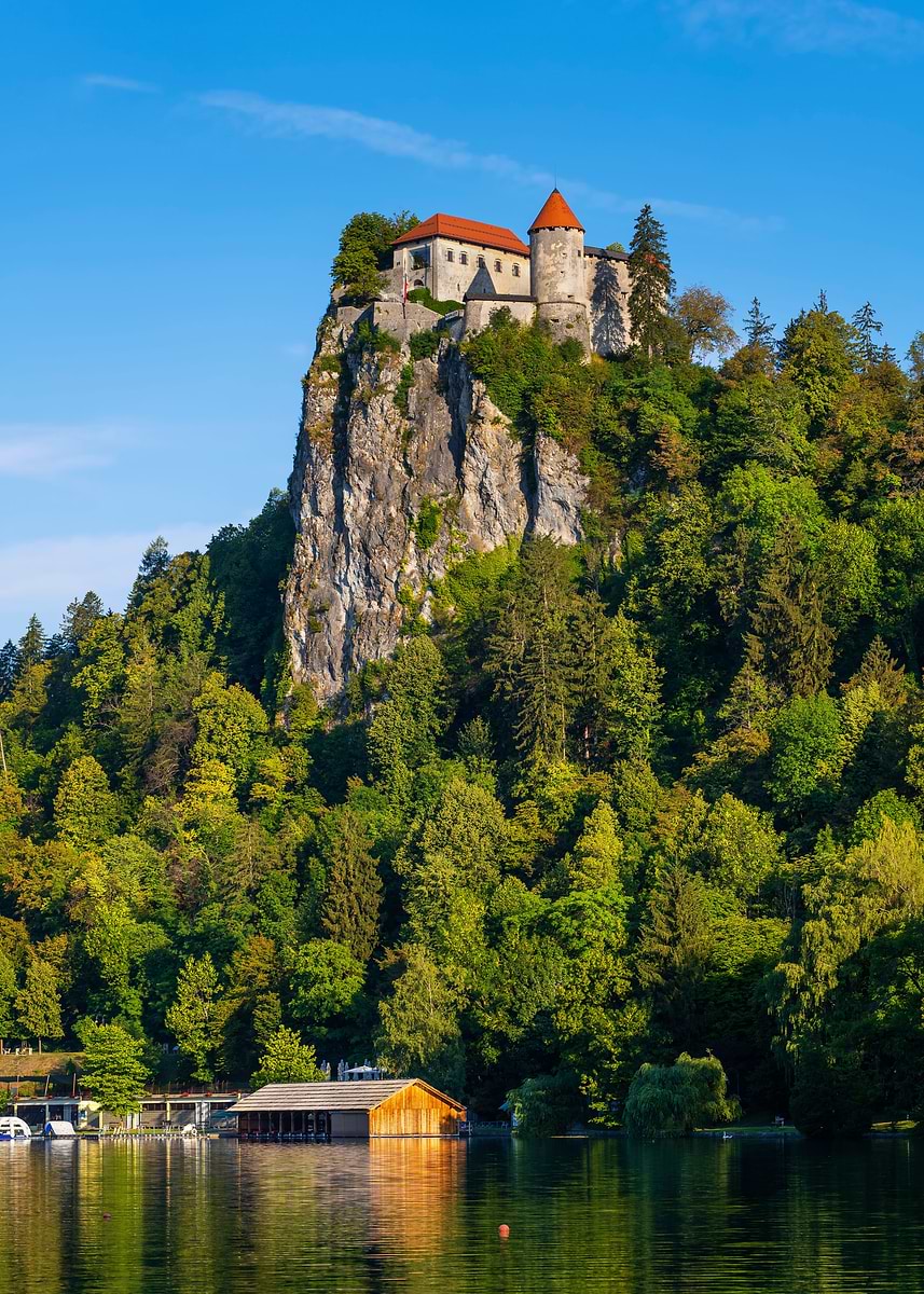 'Bled Castle And Lake' Poster, picture, metal print, paint by ...