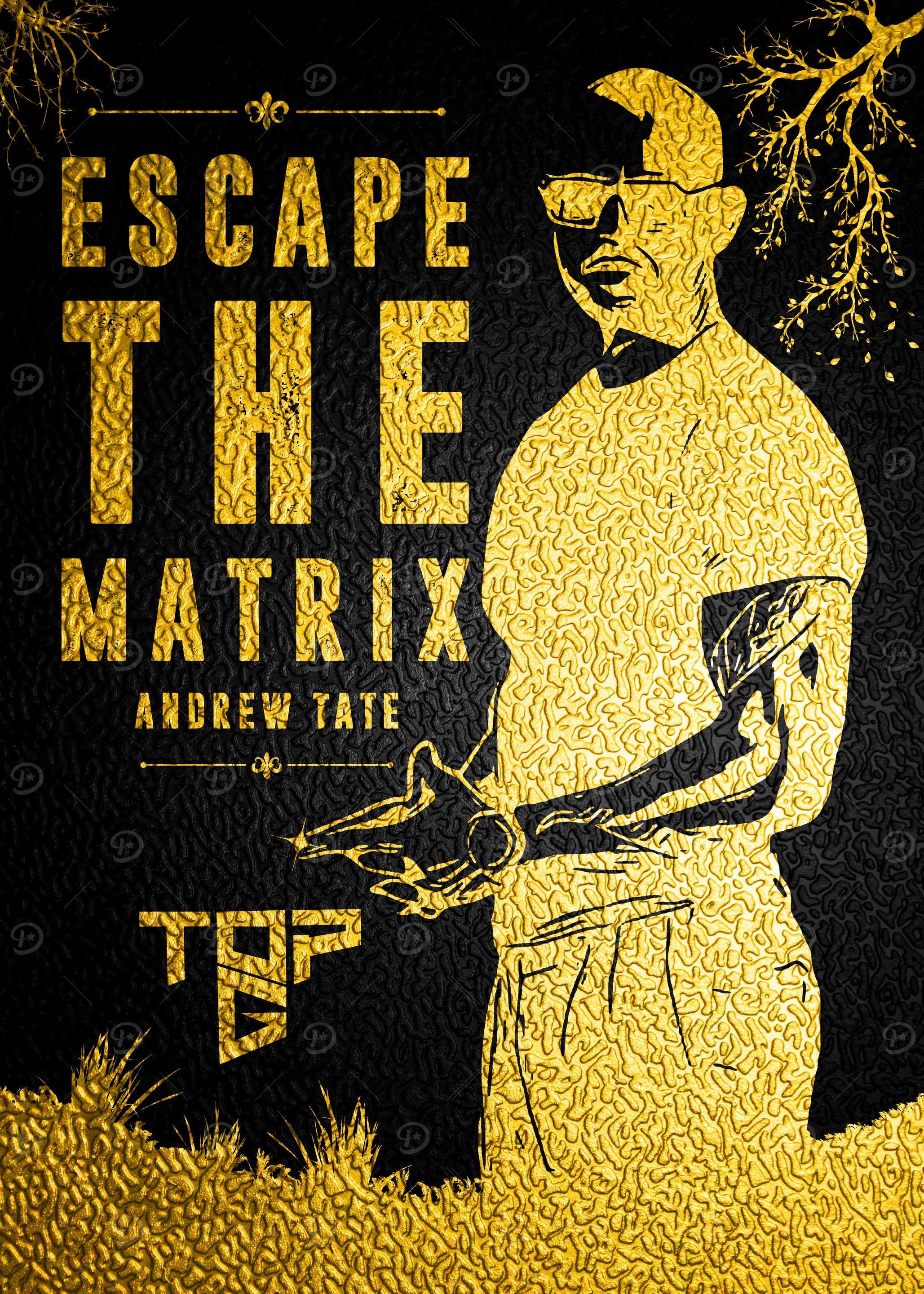 'Andrew Tate Motivation' Poster, picture, metal print, paint by Reality ...