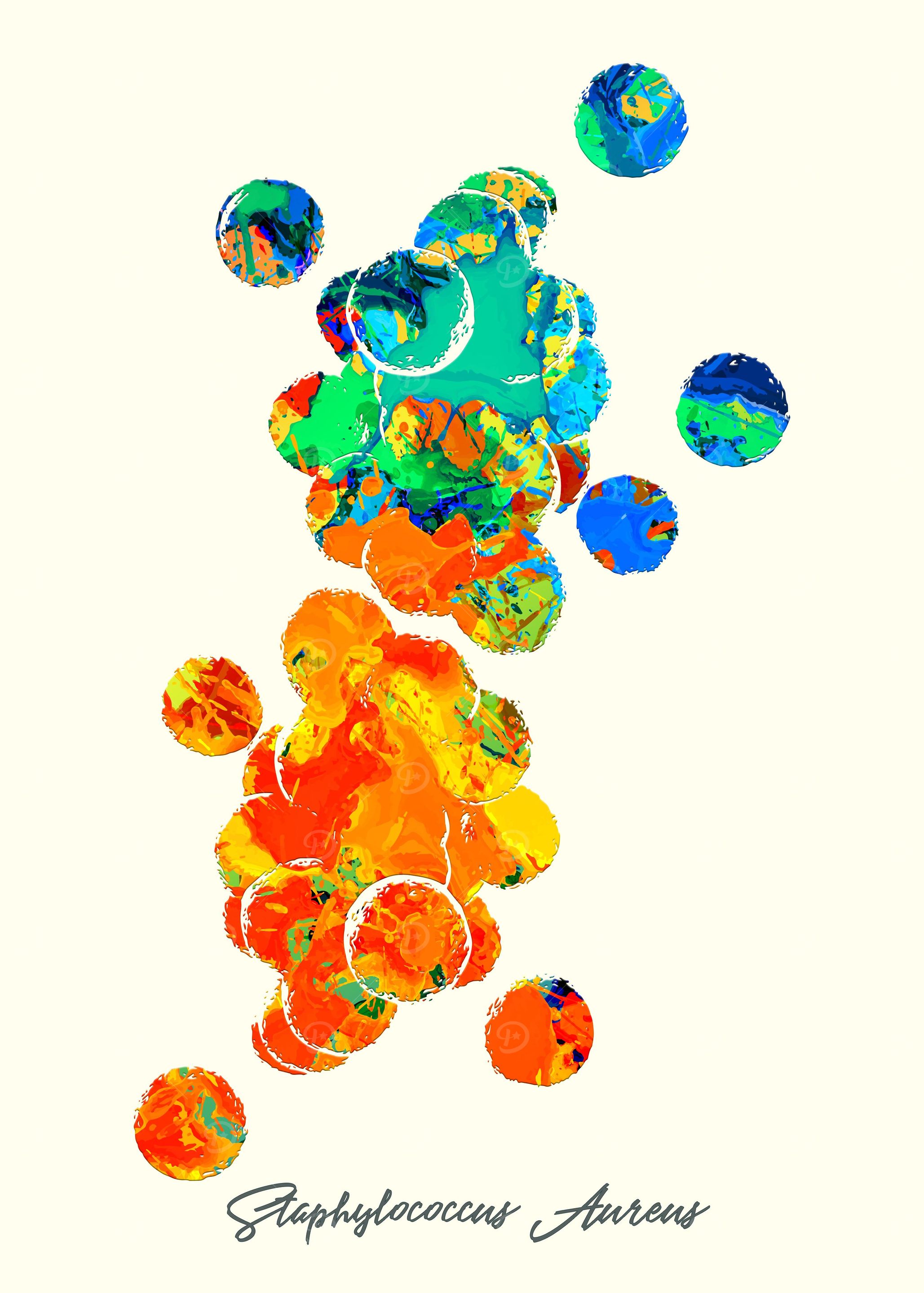 'Staphylococcus Aureus' Poster, picture, metal print, paint by Vincent ...