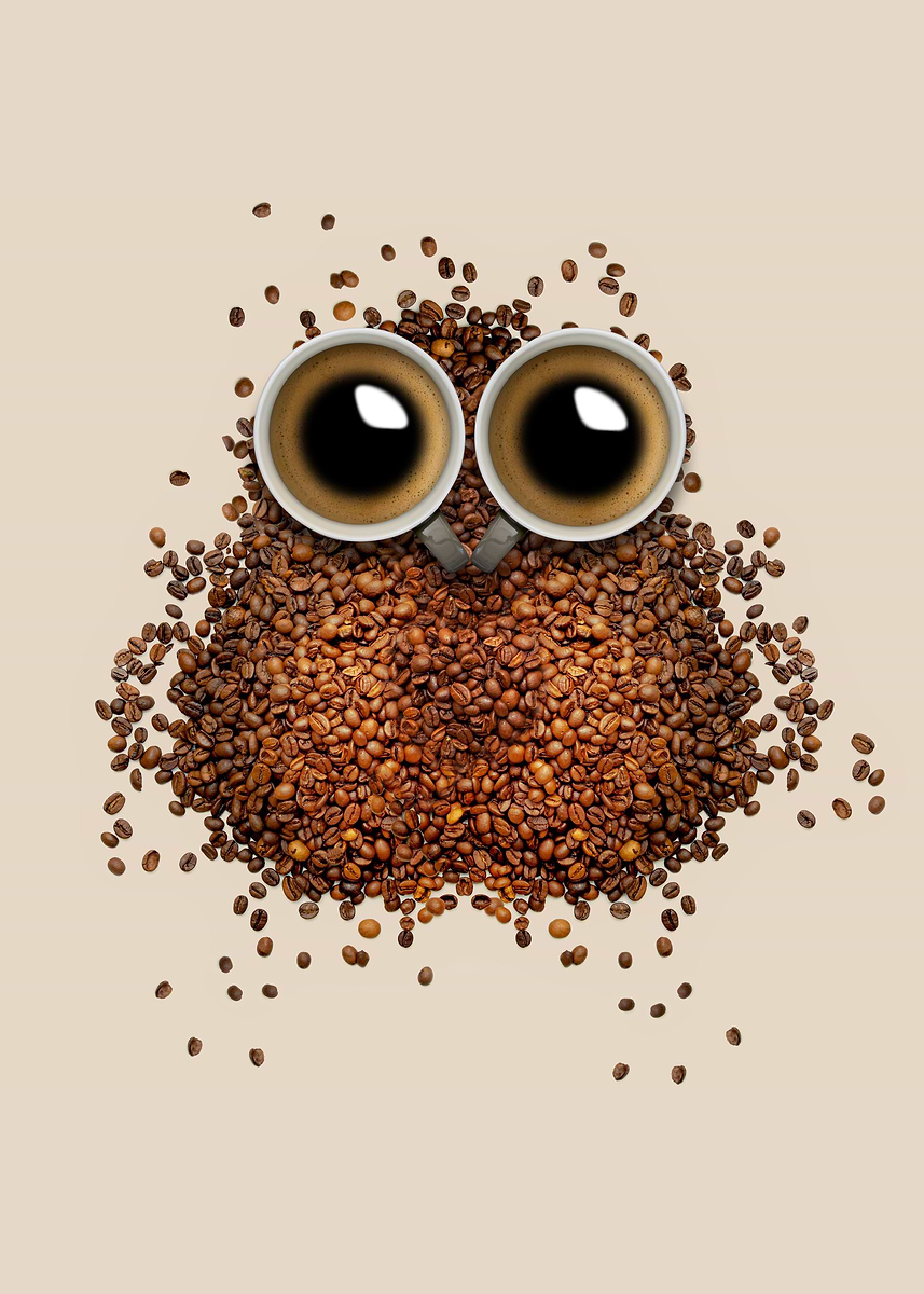 'Cute Coffee Owl ' Poster, picture, metal print, paint by Vardi Photo ...