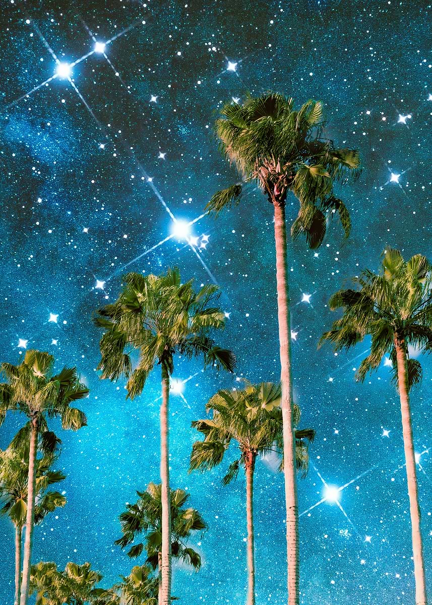 'Palm Trees In Space ' Poster, picture, metal print, paint by Yasmine ...