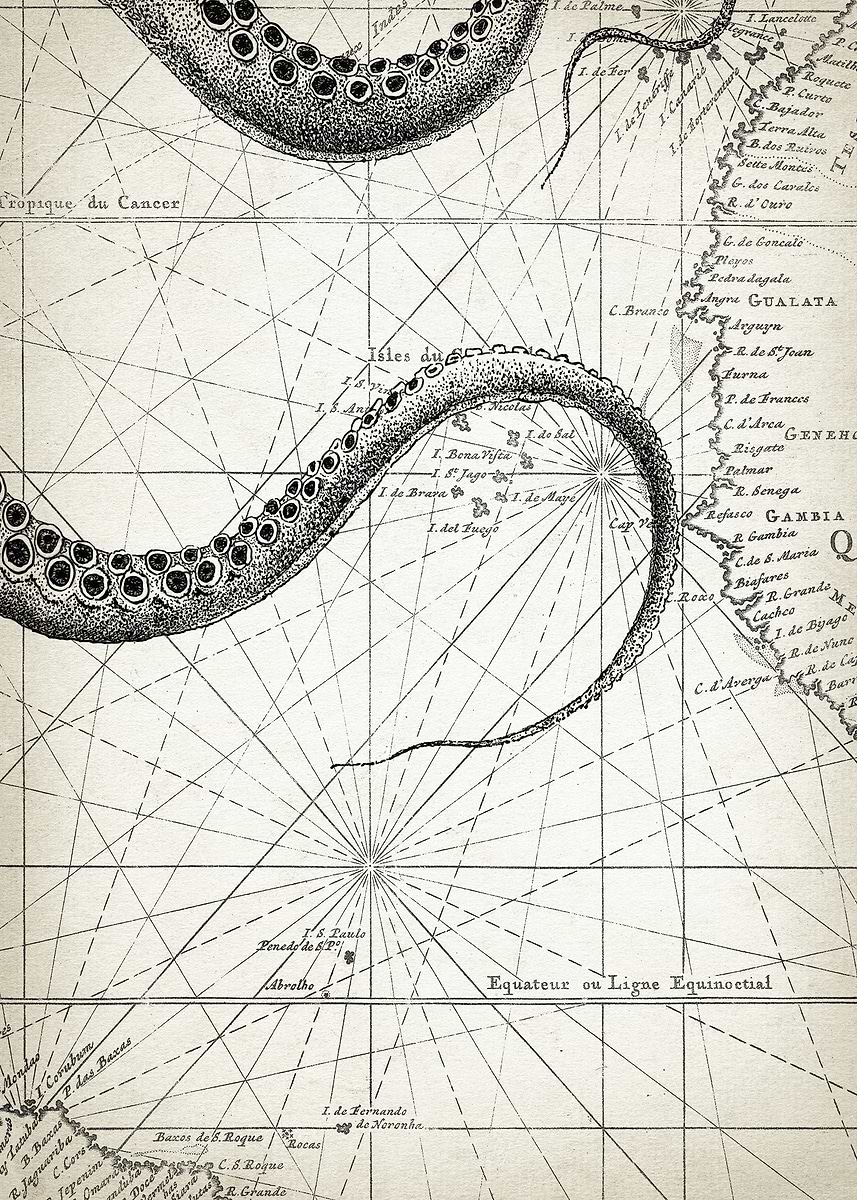 'Octopus Map Art Part 6' Poster, picture, metal print, paint by ...