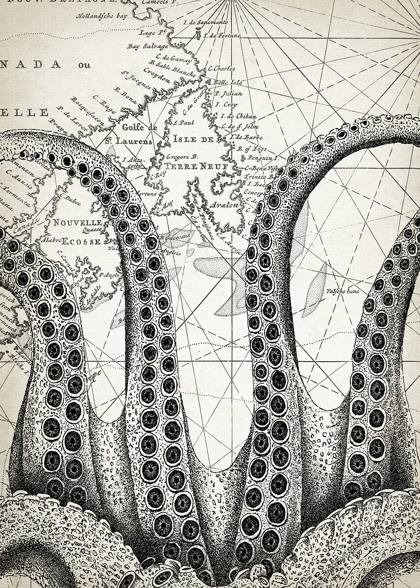 'Octopus Map Art Part 2' Poster, picture, metal print, paint by ...