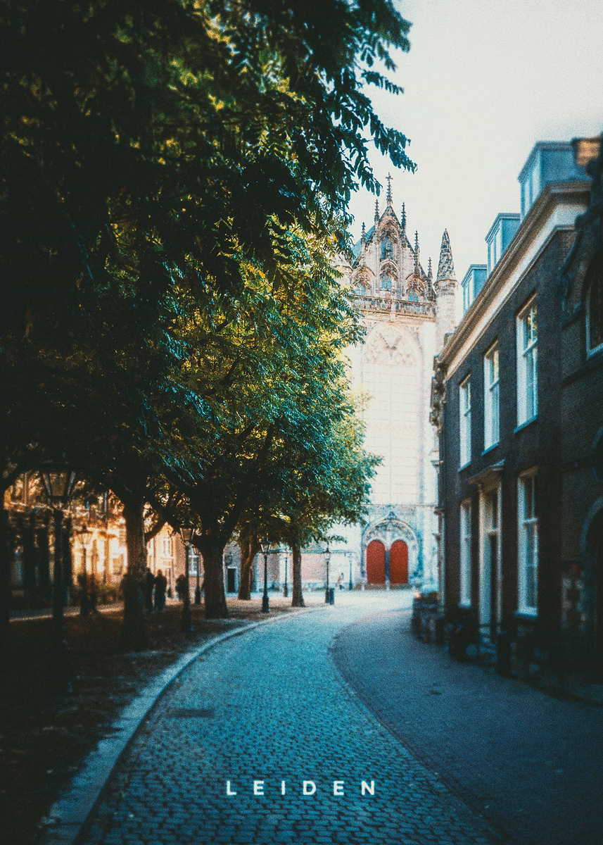 'Leiden' Poster, picture, metal print, paint by Visitify | Displate