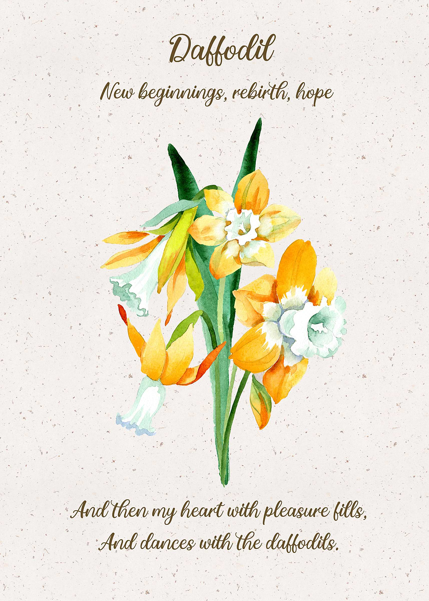 'Daffodil Flower Language' Poster, picture, metal print, paint by ...