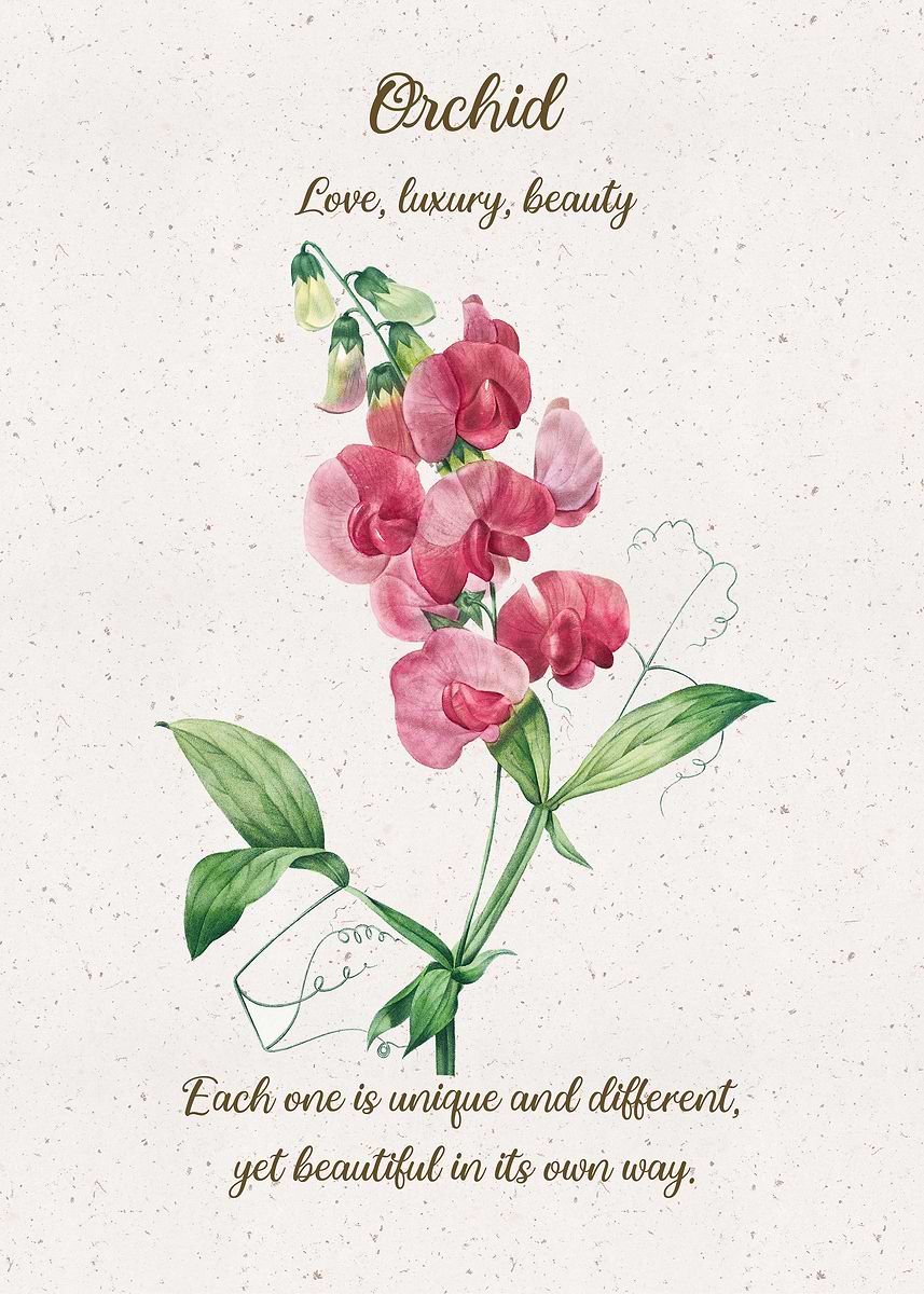 'Orchid Flower Language' Poster, picture, metal print, paint by ...