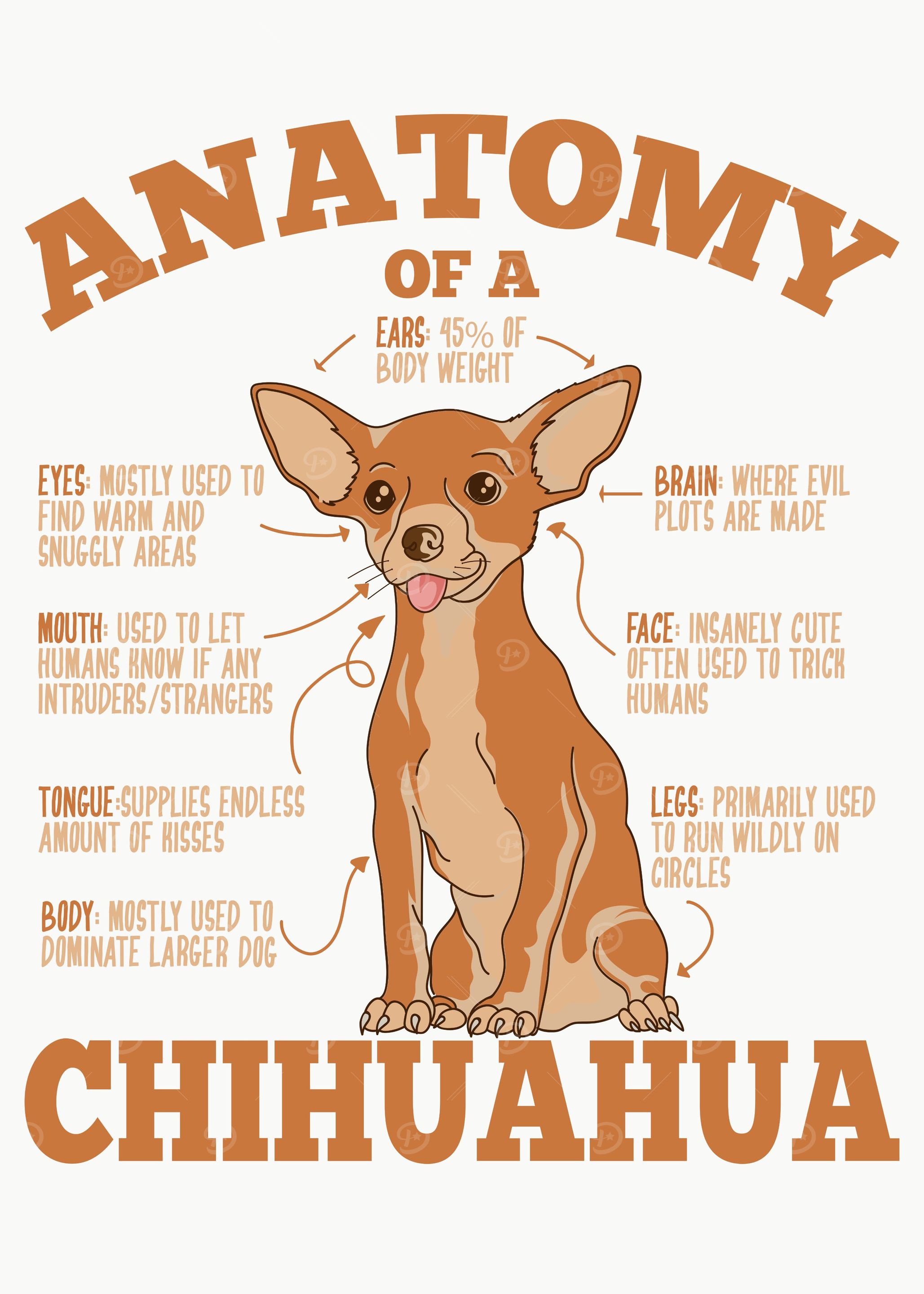 'Anatomy Of A Chihuahua' Poster, picture, metal print, paint by Color ...