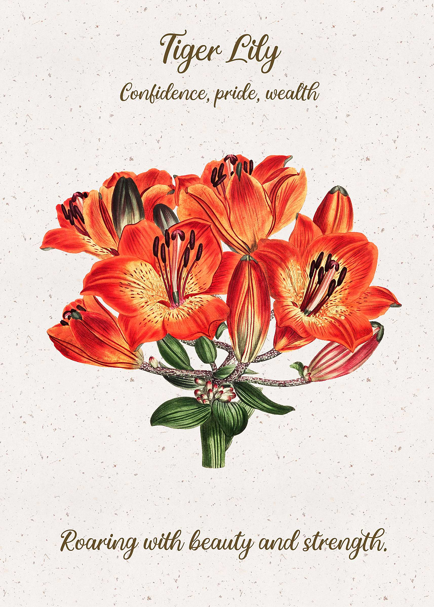 'Tiger Lily Flower Language' Poster, picture, metal print, paint by ...