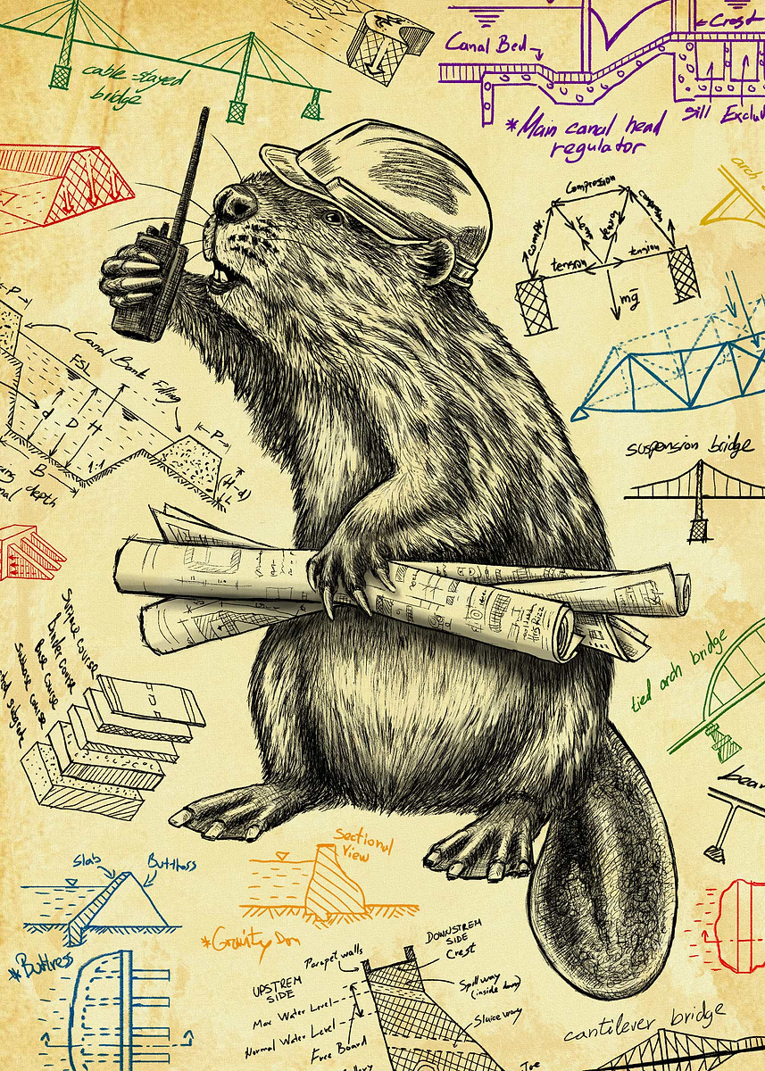 'Beaver Civil Engineer' Poster, picture, metal print, paint by Hris ...