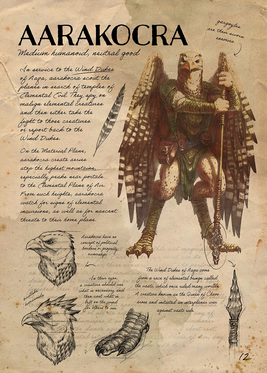 'Aarakocra Note' Poster, picture, metal print, paint by Dungeons and ...