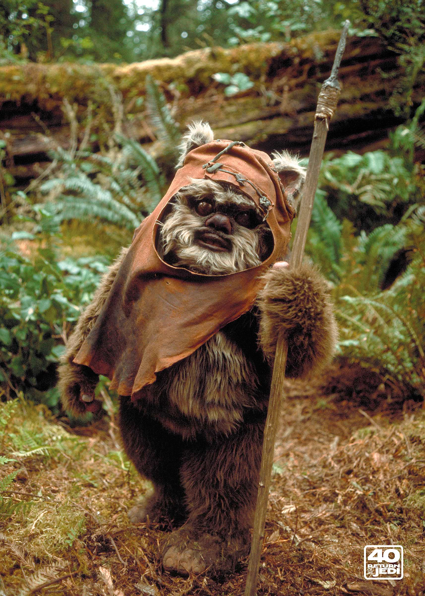 'Ewok 1' Poster, picture, metal print, paint by Star Wars | Displate