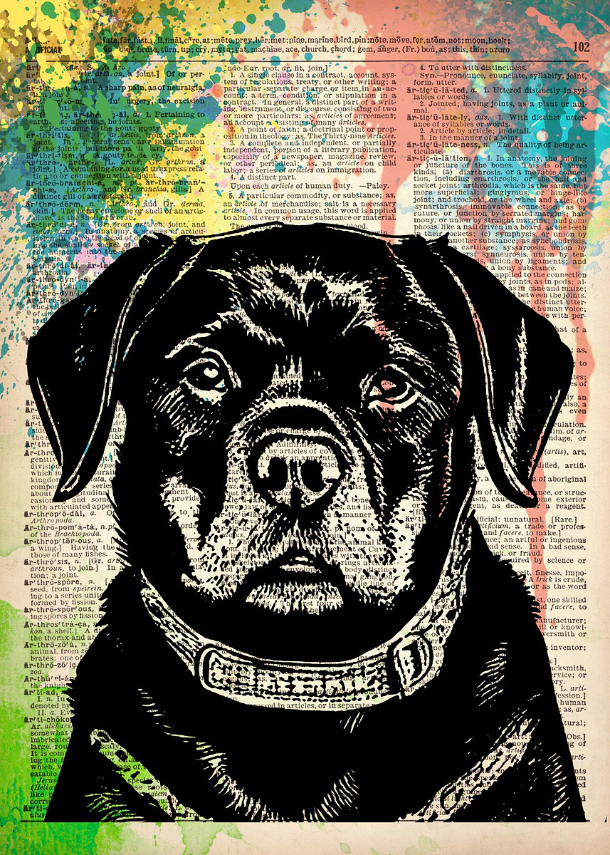 'ROTTWEILER dog art' Poster, picture, metal print, paint by Art popop ...