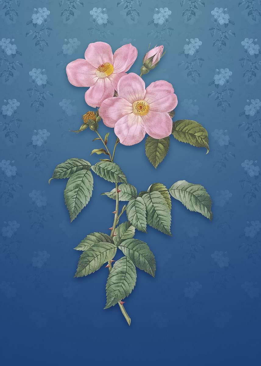 'Tea Scented Roses Bloom' Poster, picture, metal print, paint by Holy ...