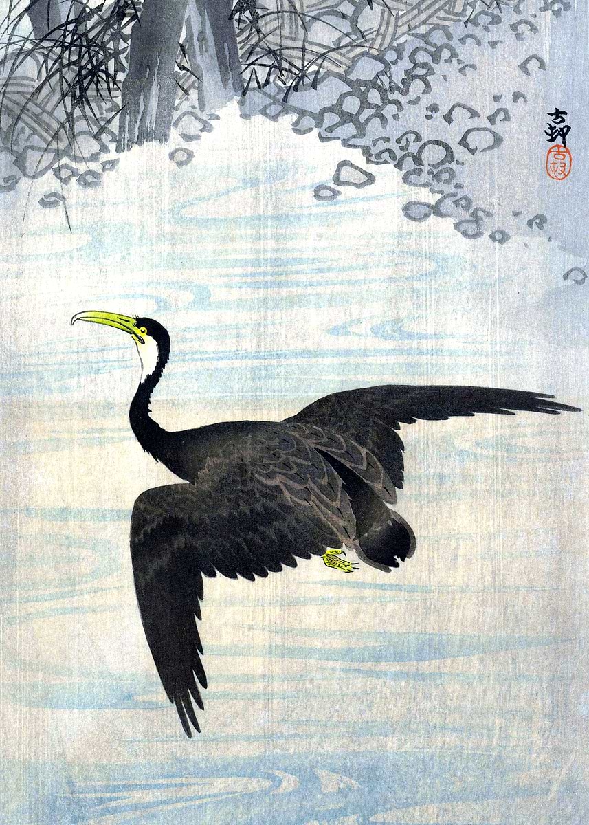 'Cormorant in Flight' Poster, picture, metal print, paint by ...