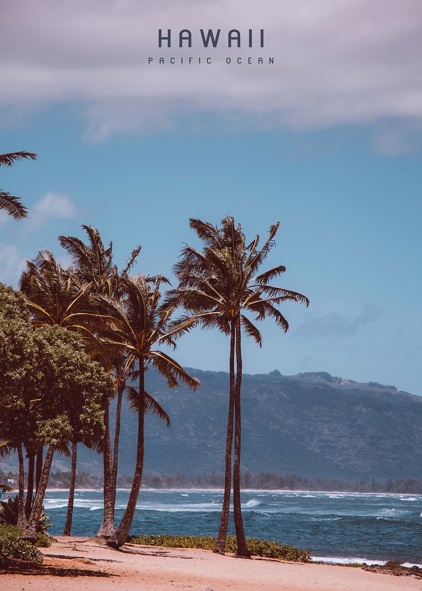 'Hawaii ' Poster, picture, metal print, paint by Travel Addict | Displate