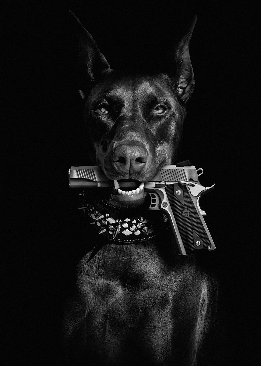 'Dog Bit The Gun' Poster, picture, metal print, paint by P U F F Y ...