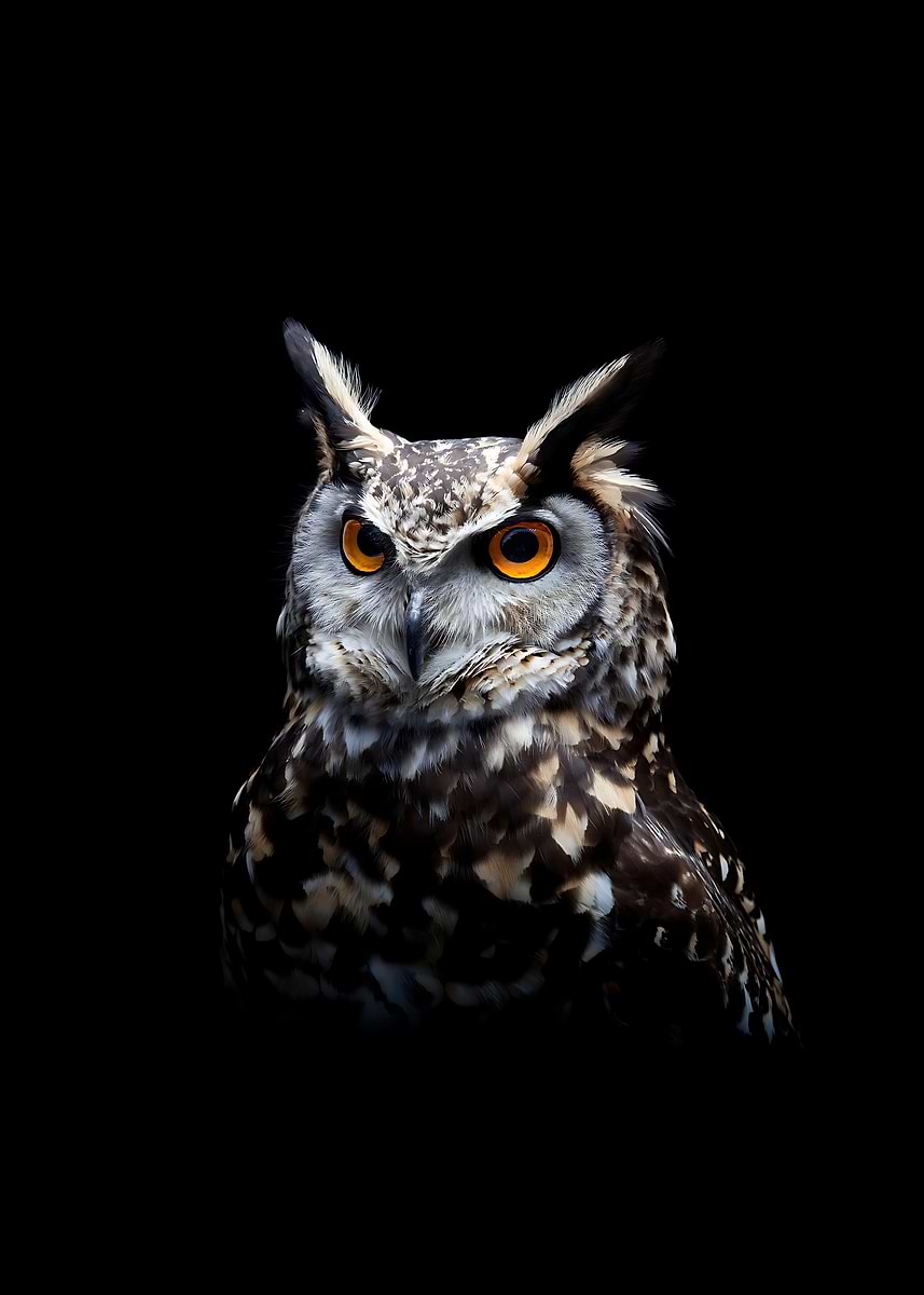 'The Strong Owl' Poster, picture, metal print, paint by HOLOSOMNIA ...