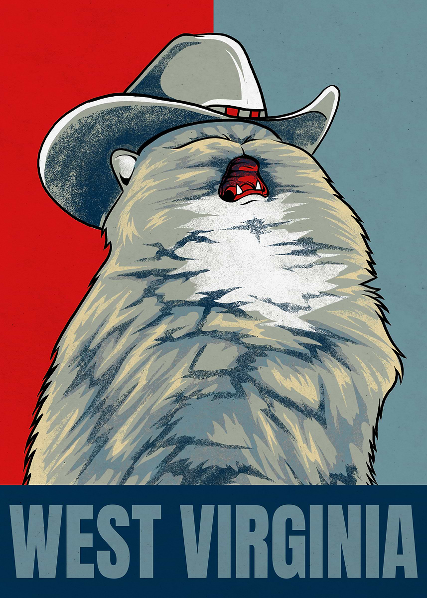 'Cowboy Cat Meme' Poster, picture, metal print, paint by Mikhaila ...