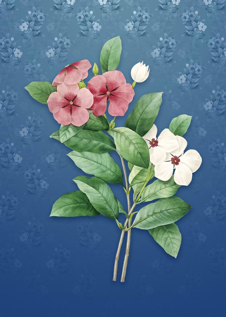 'Periwinkle on Bahama Blue' Poster, picture, metal print, paint by Holy ...