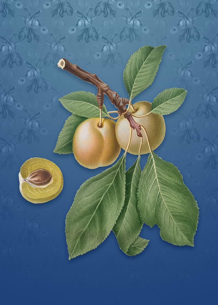 'Prune on Bahama Blue' Poster, picture, metal print, paint by Holy Rock ...