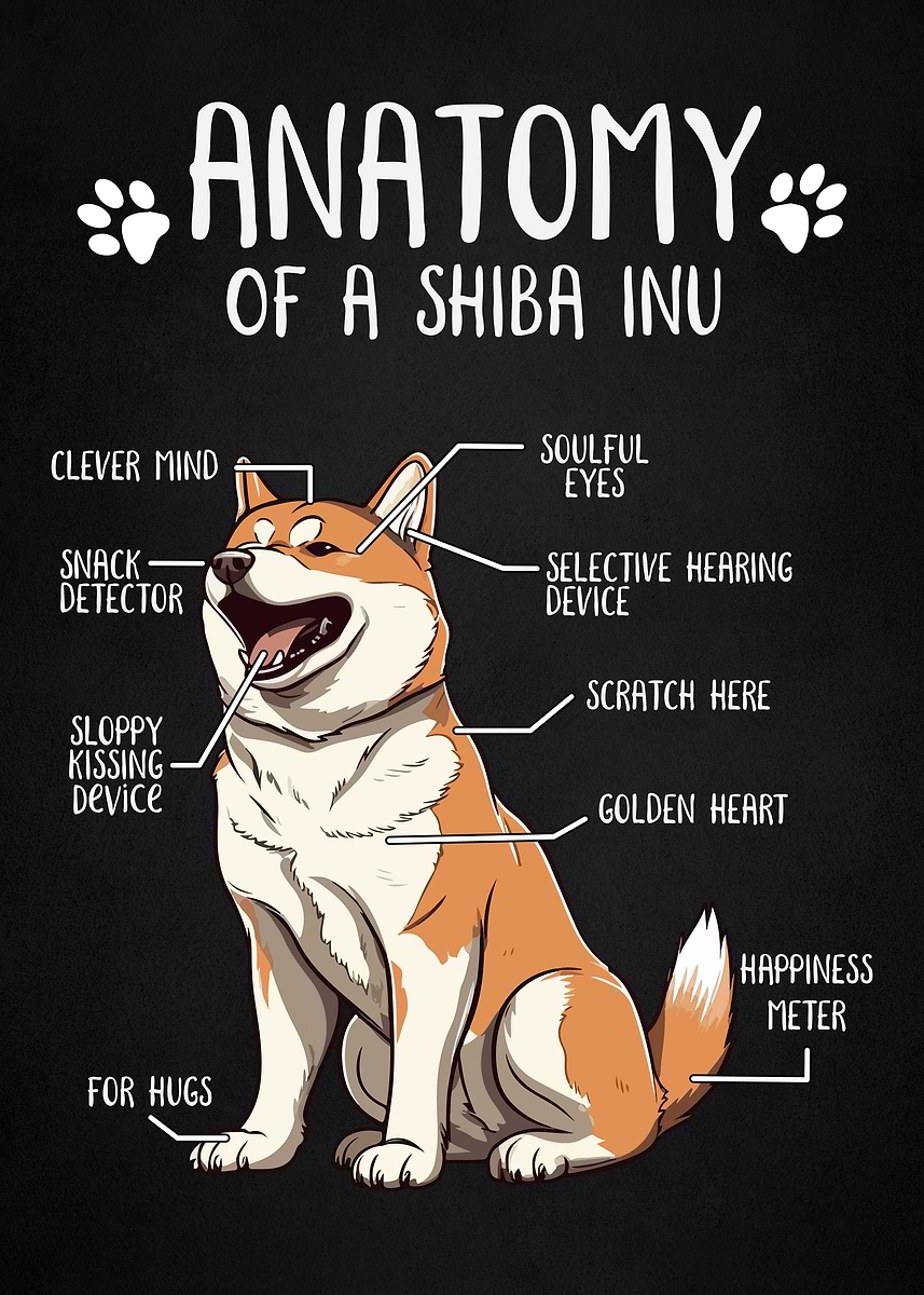 'Anatomy of shiba inu' Poster, picture, metal print, paint by ...
